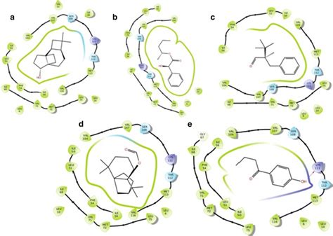Two Dimensional Interaction Diagram Of Ligands With Odorant Binding Download Scientific Diagram