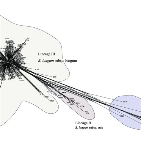 Split Decomposition Analysis Based On Concatenated Sequences Of The Six Download Scientific