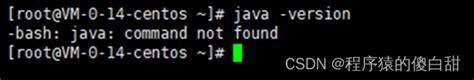 云服务器环境搭建及部署，jdk、mysql、redis、nginx环境搭建 Csdn博客