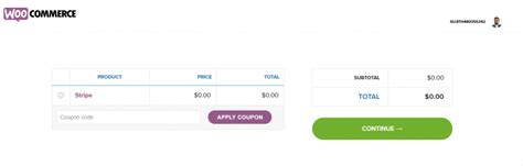 How To Install And Set Up A Woocommerce Stripe Plugin Learnwoo
