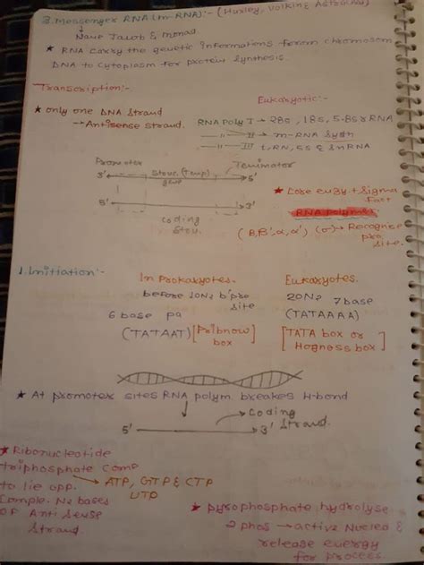 Biochemistry Notebook With Handwritten Diagram