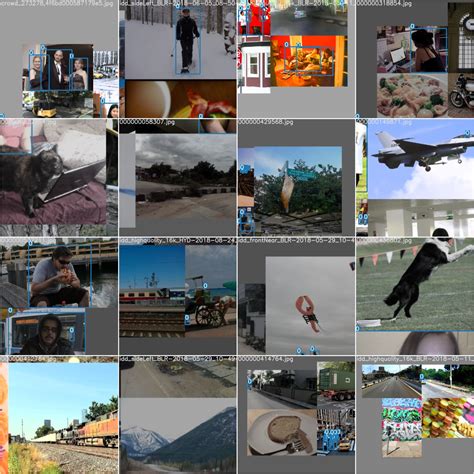 Test Image Label Shift Issue Ultralytics Yolov GitHub