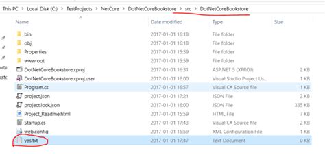Introduction To Aspnet Core Part 1 Anatomy Of An Empty Web Project