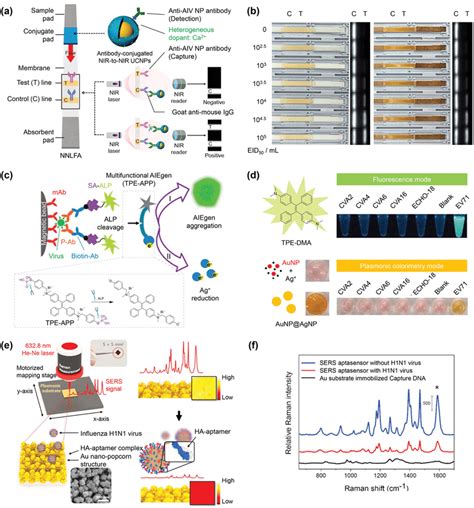 Fluorescence And Sers‐based Immunosensors A Schematic Illustration Of