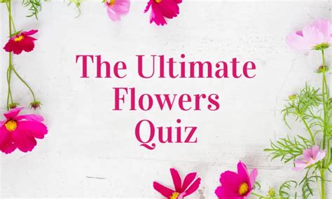 Flowers Quiz Flower Trivia Questions Answers