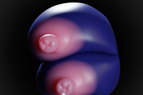 Rule 34 2021 32 3d 3d Artwork Alicorn Anthro Big Breasts Black Background Blender Software