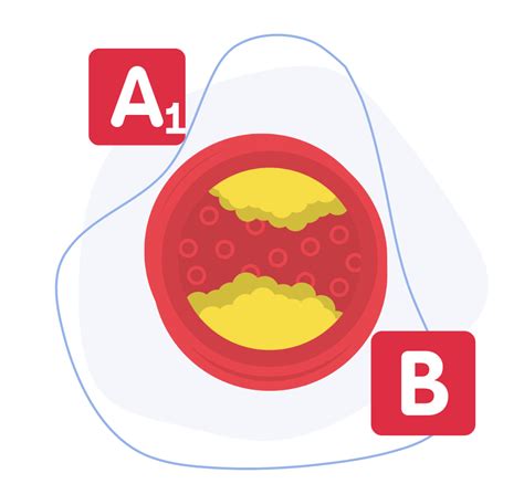 Apolipoprotein Panel A1 And B