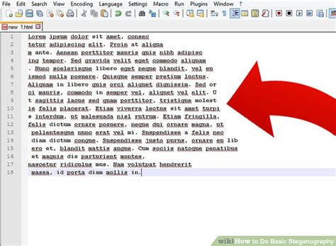 How To Do Basic Steganography Steps With Pictures WikiHow