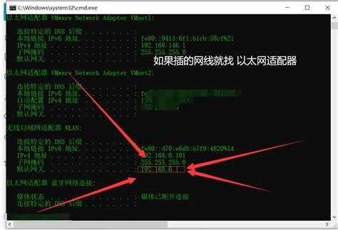 Centos7 Linux Ping百度出现 Destination Host Unreachable（目标主机不可达） 哔哩哔哩