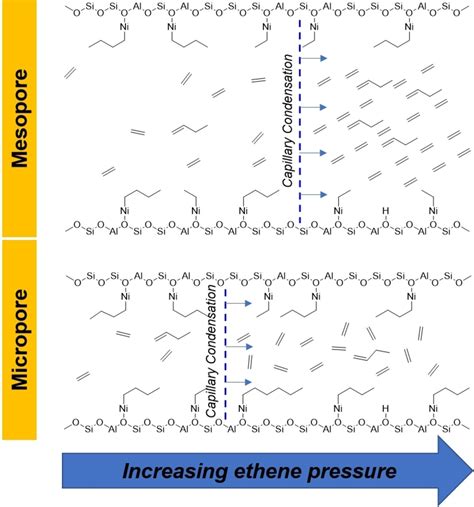 Effects Of Ethene Pressure On The Deactivation Of Ni‐zeolites During