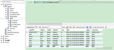 Mysql Workbench基本操作及常见报错解决方案workbench显示脚本错误 Csdn博客