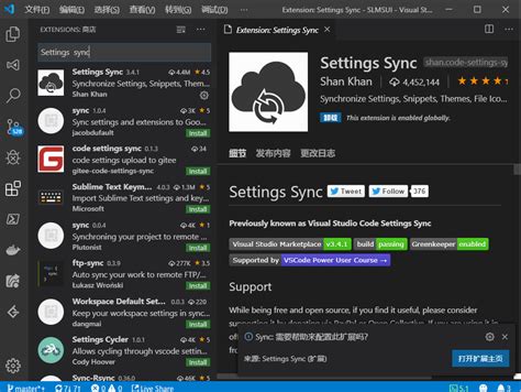 使用settings Sync同步vs Code配置 Csdn博客