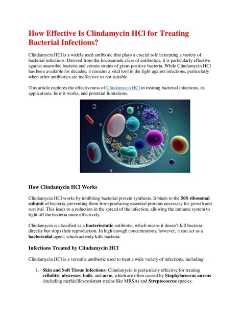 Ppt How Effective Is Clindamycin Hcl For Treating Bacterial Infections Powerpoint Presentation