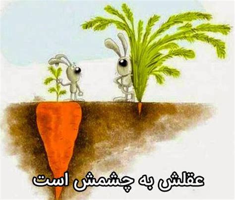 معنی ضرب المثل عقلش به چشمش است به همراه بررسی کاربرد و داستان آن ستاره