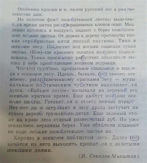 выписать из текста эпитеты Школьные Знания Com