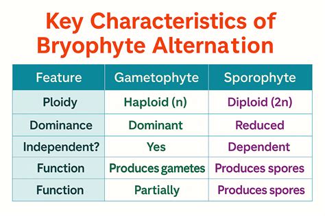 Alternation Of Generations In Bryophytes By Sachins
