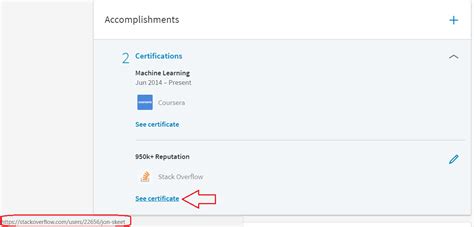 How Can I Insert My Stack Overflow Rating Into Linkedin Meta Stack