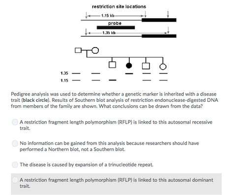 Solved What Does The Enzyme Reverse Transcriptase Do