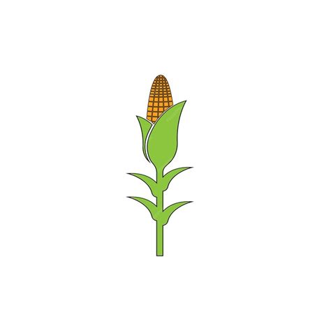Premium Vector Corn Icon