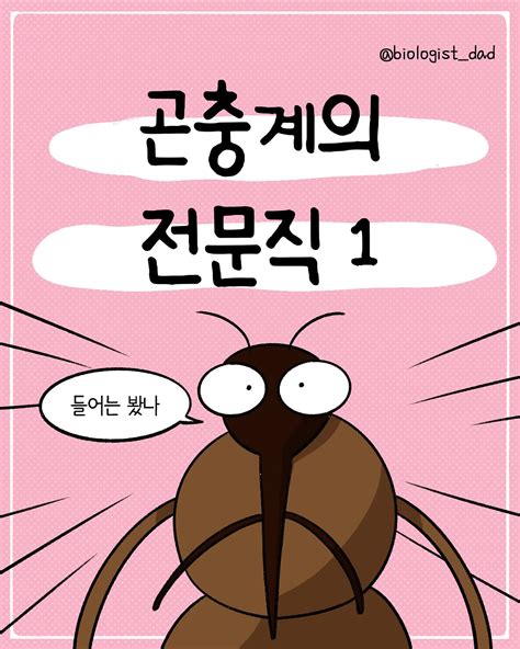 뱀비아부지의 생물학툰 생물학자 아부지가 알려주고 웹툰작가 딸이 그리는 생물학 지식이 궁금하다면👉 Biologist Dad 팔로우 뱀비 아부지의 생물학툰은 재미를