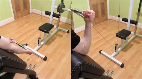 Cable Preacher Curl Tutorial Benefits And Variations