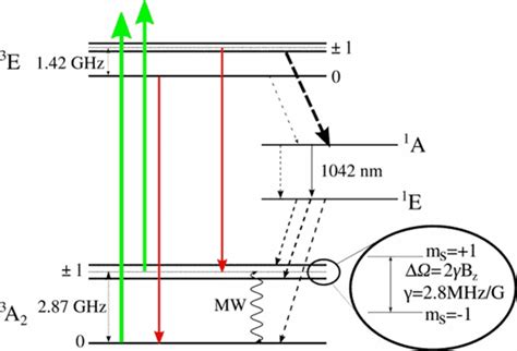 Quantum Computer Scienze