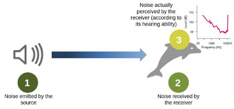 Difference Between Emitted Noise Received Noise And Perceived Noise