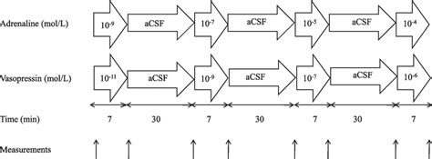 Flow Chart Of Experiment 1 Baseline Download Scientific Diagram