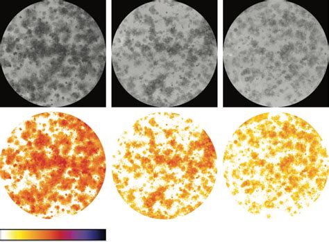 Bioimage Analysis Toolbox Turku Bioimaging