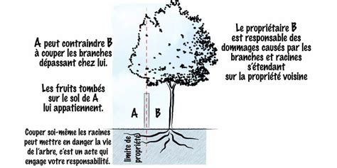 Courrier Service Voisinage Les Règles De Distance Pour Les