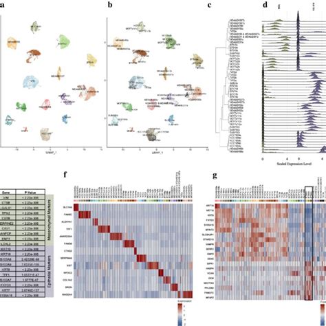 Cluster Analysis Of Global Dataset For Population Gene Vector
