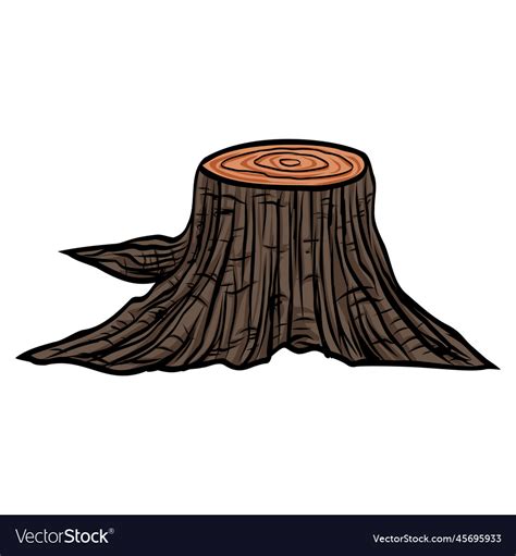 Tree Trunk Roots Drawing