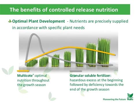 Controlled release fertilizers | Haifa Group