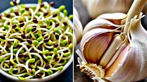 Can You Eat Sprouted Garlic The Safe Truth