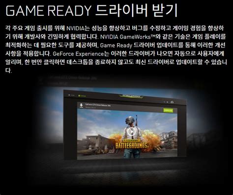 엔비디아 지포스 익스피리언스 Nvidia Geforce Experience 라비아