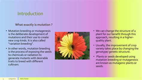 Mutation Breedingpptx