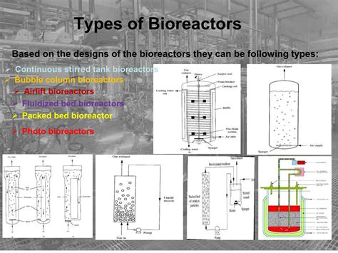 Bioreactoronbioprocessengineeringppt