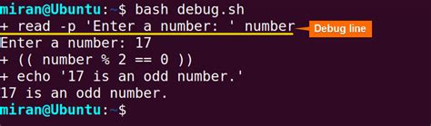 How To Activate Debug Mode In Bash Script 3 Methods Linuxsimply