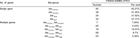 Distribution Of Esbl Genes Among Esbl Positive Isolates Download Scientific Diagram
