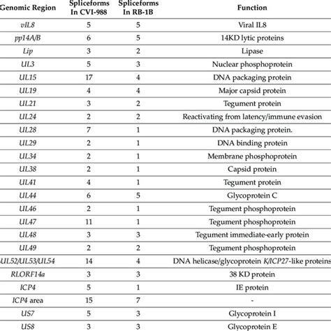 Enumeration Of Putative Novel Coding Splicing Isoforms For Several Mdv Download Scientific