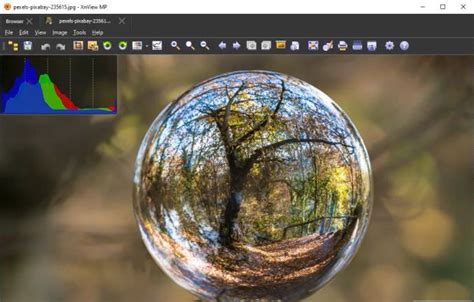 irfanview alternatives for linux 25 image viewers and image editors