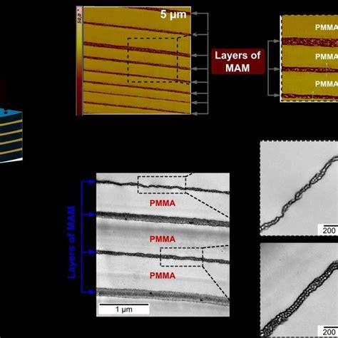Hermans Orientation Factor As Function Of The Average Layer Thickness Download Scientific