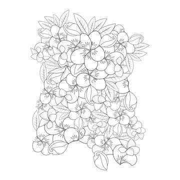 Plumeria Coloring Pages