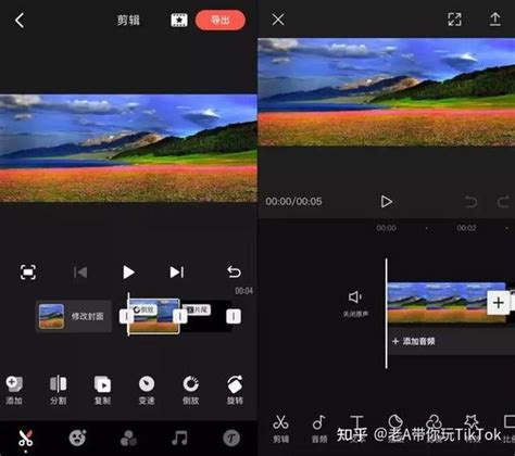 tiktok视频去水印好去吗？有什么简单的方法吗？ 知乎