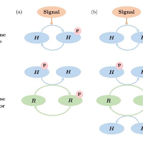 Two Component System Tcs Architectures A Monofunctional Tcs B