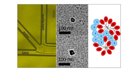 Microfluidics Driven Strategy For Size Controlled Dna Compaction By