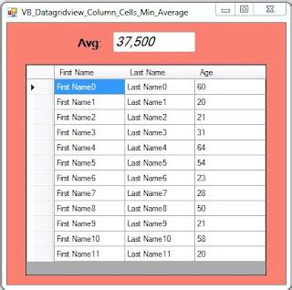 VB NET How To Get The DataGridView Column Average Value Using VB NET C JAVA PHP