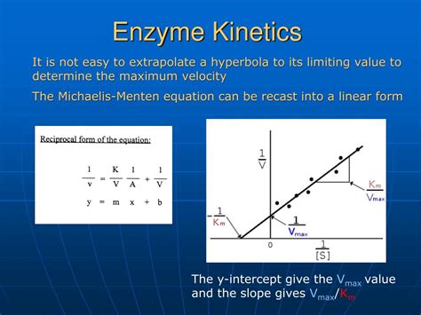 Ppt Enzyme Kinetics Powerpoint Presentation Free Download Id196477