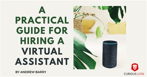 A Practical Guide For Hiring A Virtual Assistant Curious Lion