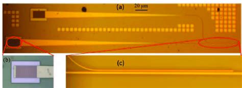 A The Optical Image Of The Fabricated Te0andte1 Mode Multiplexing B